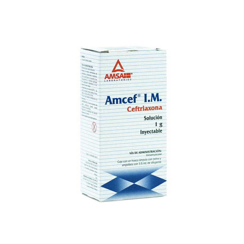 AMCEF INY 1G. I.M. 3.5 ML V.P. | Farmacias San Isidro | Farmacia a ...